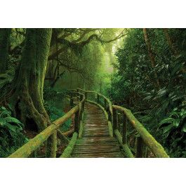 Fotobehang In de Jungle | Tropisch Regenwoud