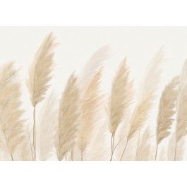 Fotobehang Pluimen - Elegant & Stijlvol