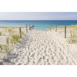 Fotobehang Strandpad